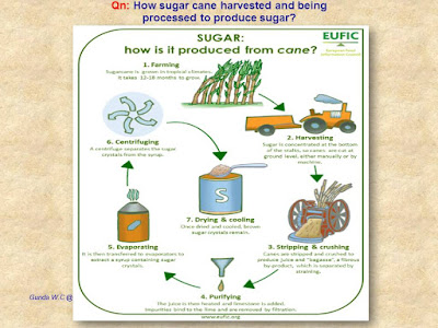 NYUMBA: AGRICULTURE - SUGAR CANE PRODUCTION (LESSON NOTES FOR FORM TWO)