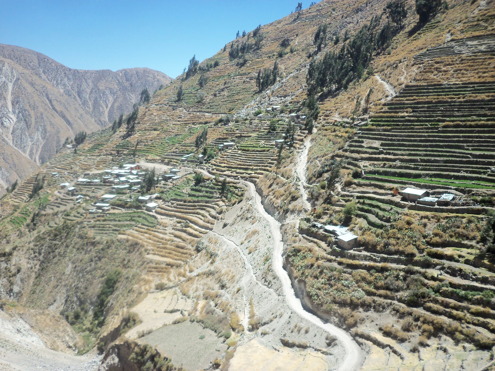 PLATOS TÍPICOS DE CHUQUIBAMBA