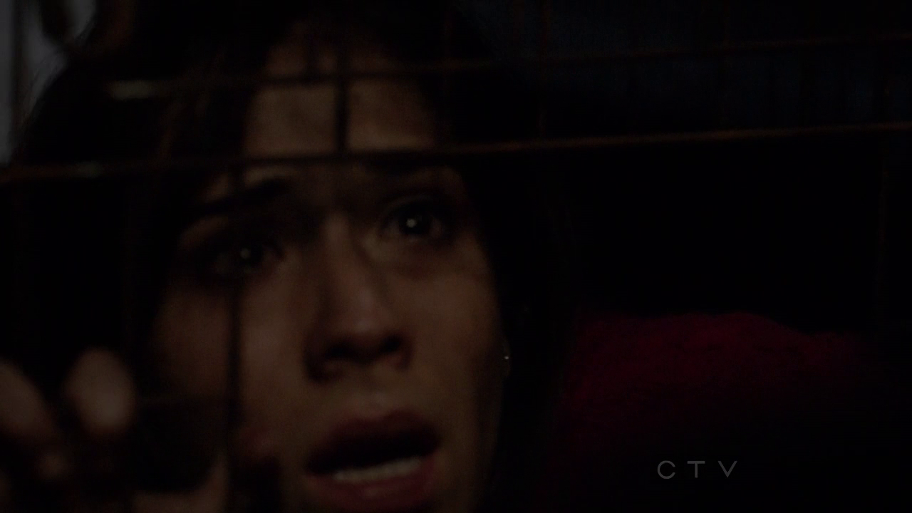 Review The Following 1x07 - Let Me Go