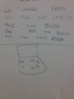 Wonder, Explore & Discover in Grade One: Our First Inquiry in Science!