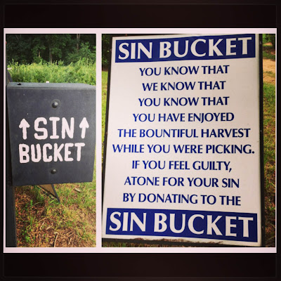 BLT Foodies: Happy Berry Farm: Blueberry Cinnamon Crumb Cake ...