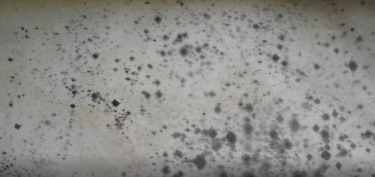 removing mildew from a Cotton tent.