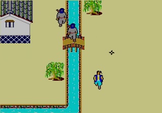The Videogames Museum: THE NINJA (MASTER SYSTEM)