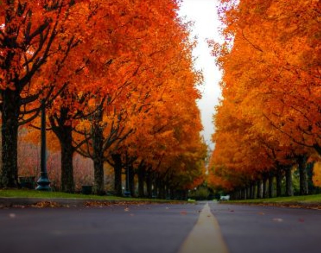 The Krude Experience - October Rust