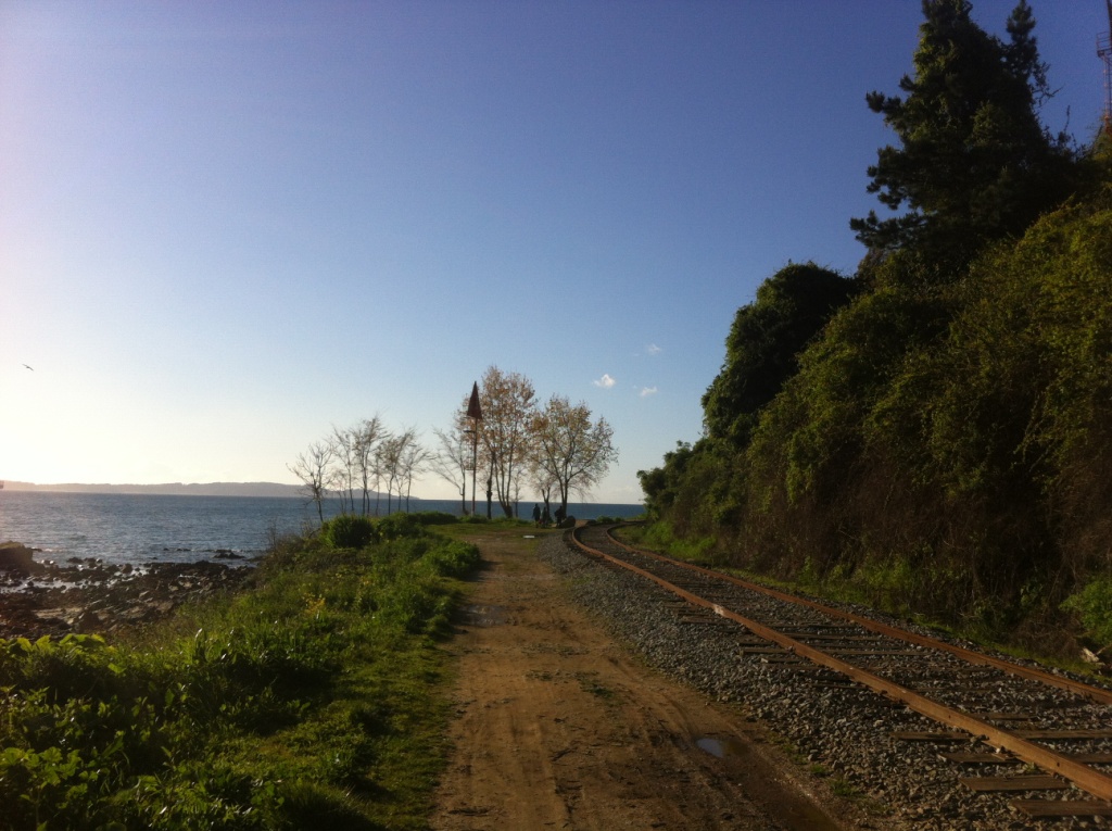 .: Do you know the "LA CATA BEACH" in Lirquén?