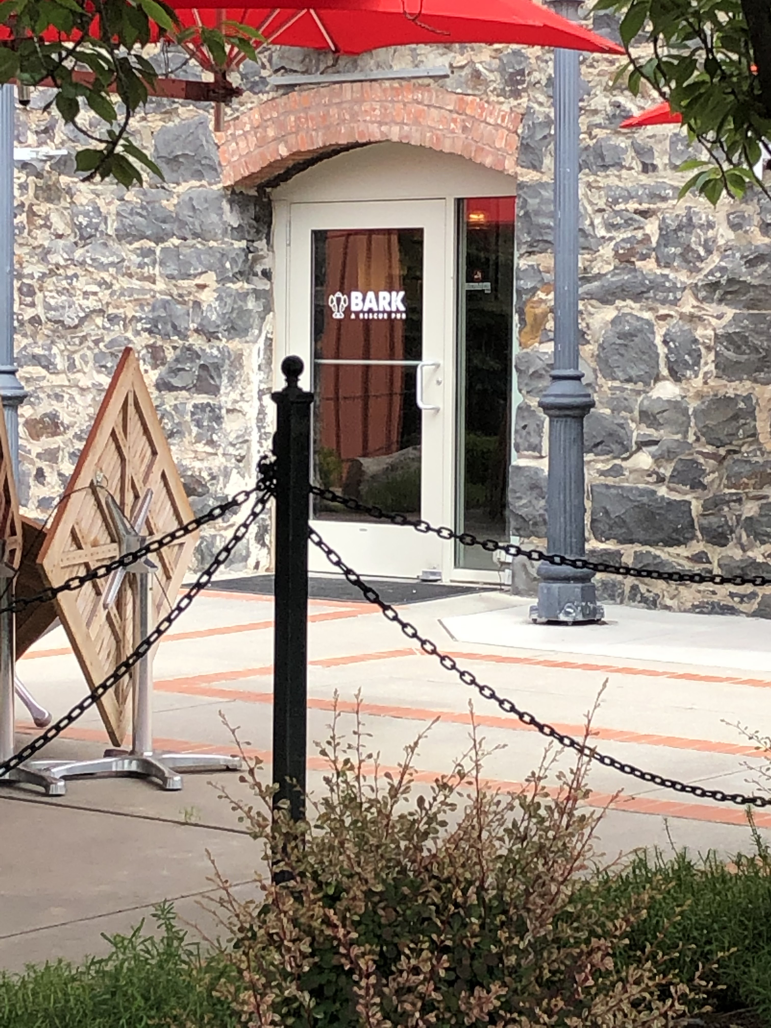 Inland Northwest Business Watch: World's first dog and cat adoption ...