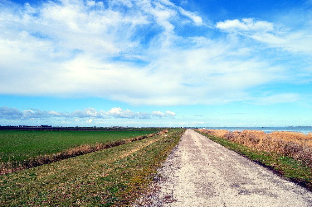 Un itinerario alla scoperta del Delta del Po: ecco cosa vedere ...