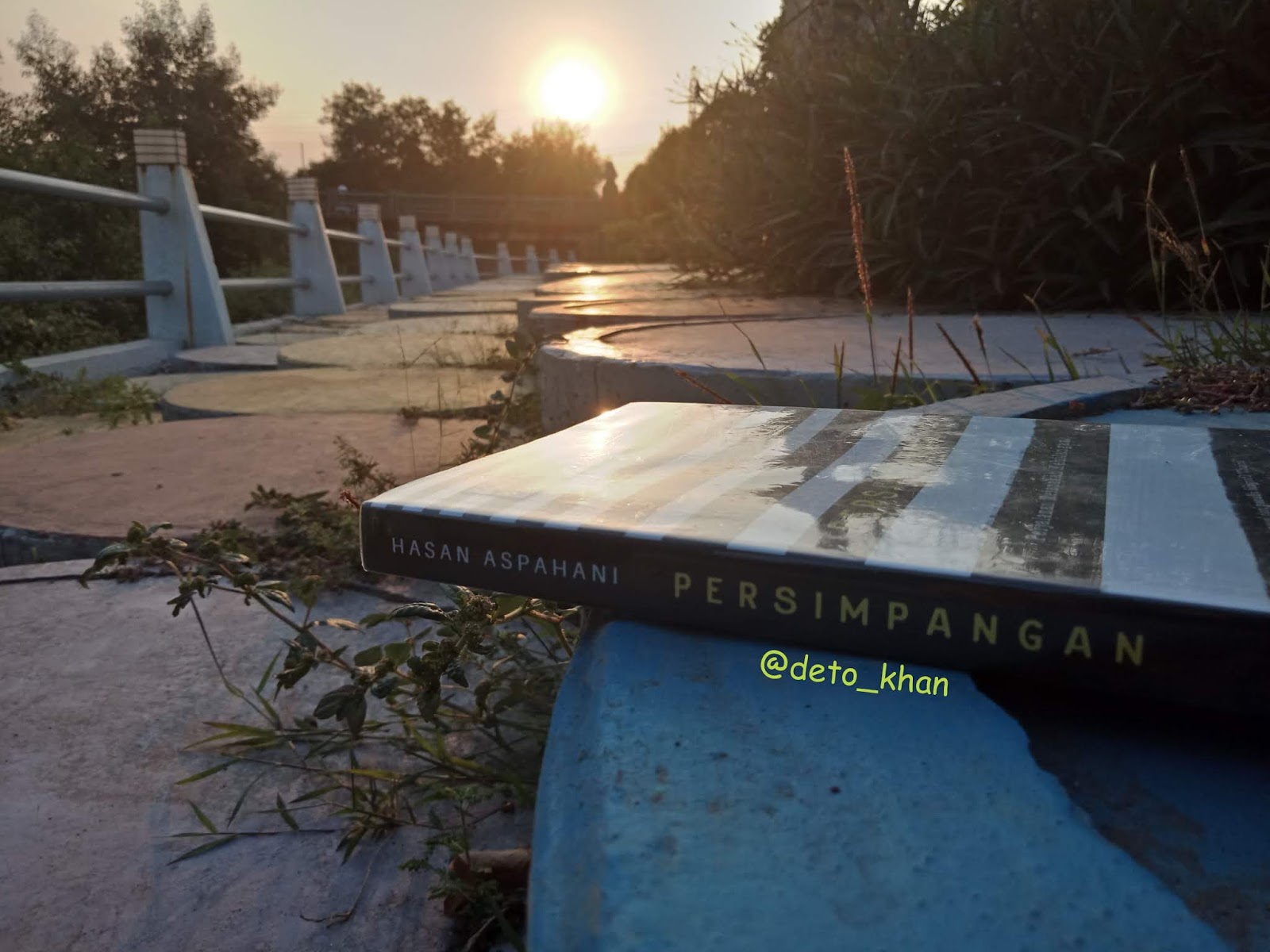 Resensi Buku Persimpangan Hasan Aspahani