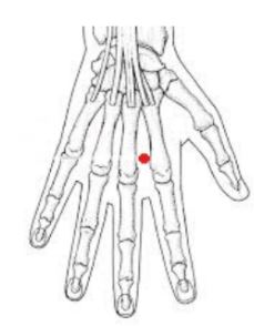 Blog Le Souffle du Menhir: Luo Zhen / Lào Zhěn落枕 / Wai Lao Cong / Xiang ...