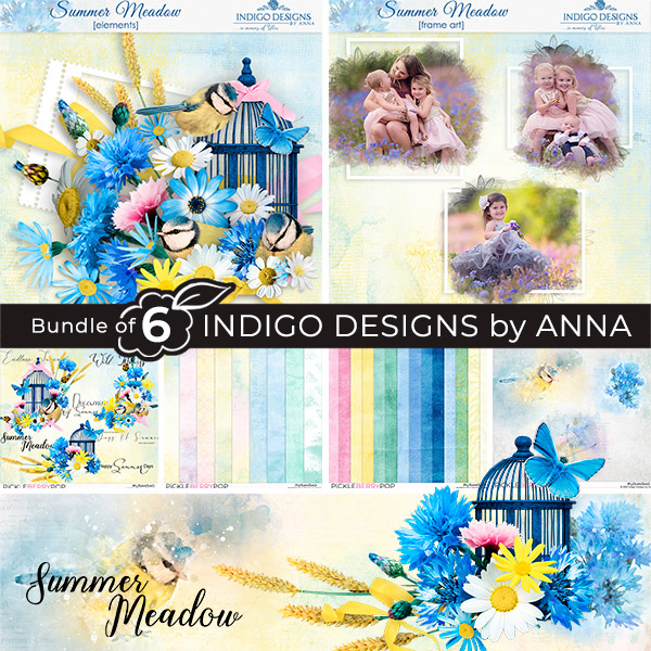 Indigo Designs