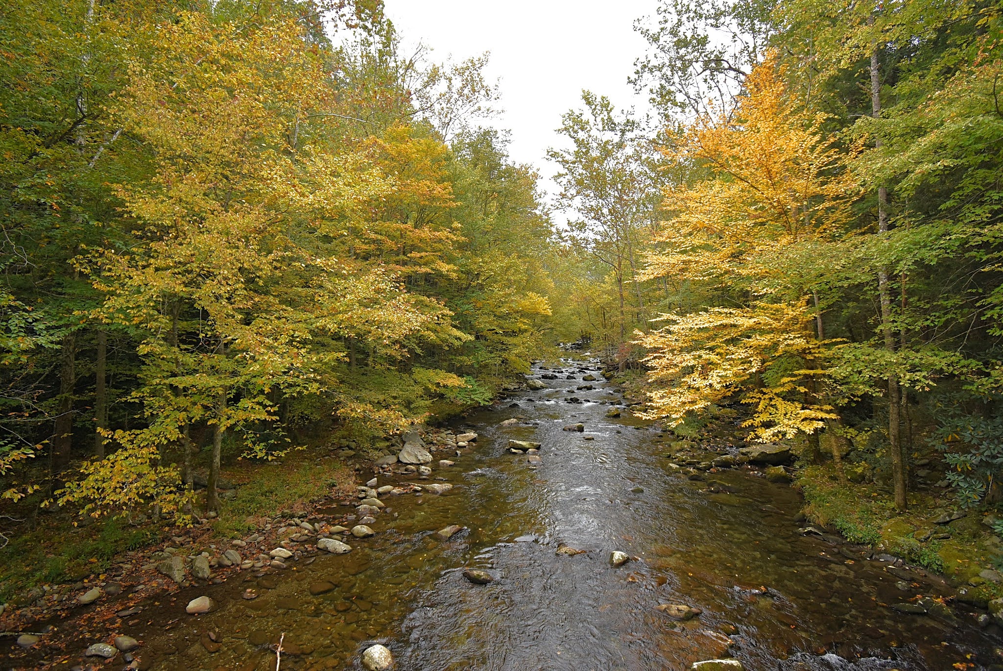Chris Moore Hiking, Climbing, and Camping: GSMNP FALL 2020