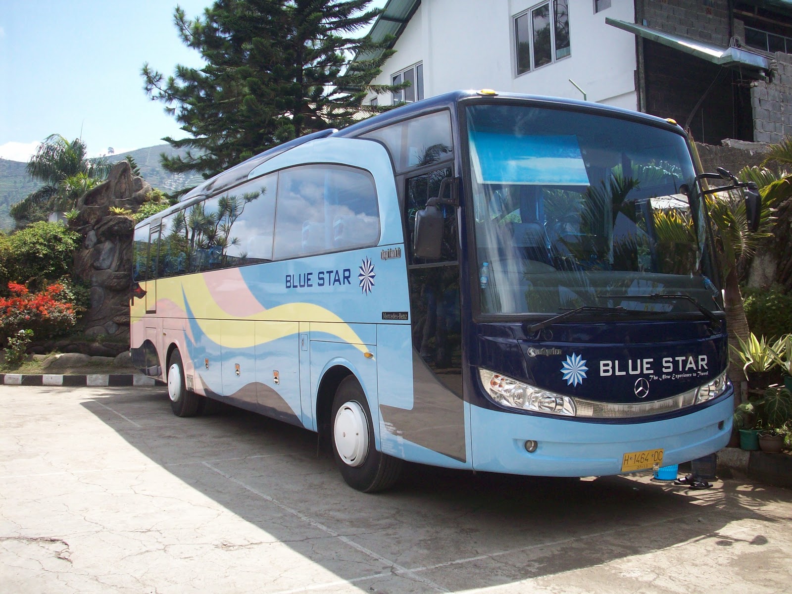 AVITA HOLIDAY JAKARTA: PO. Blue Star