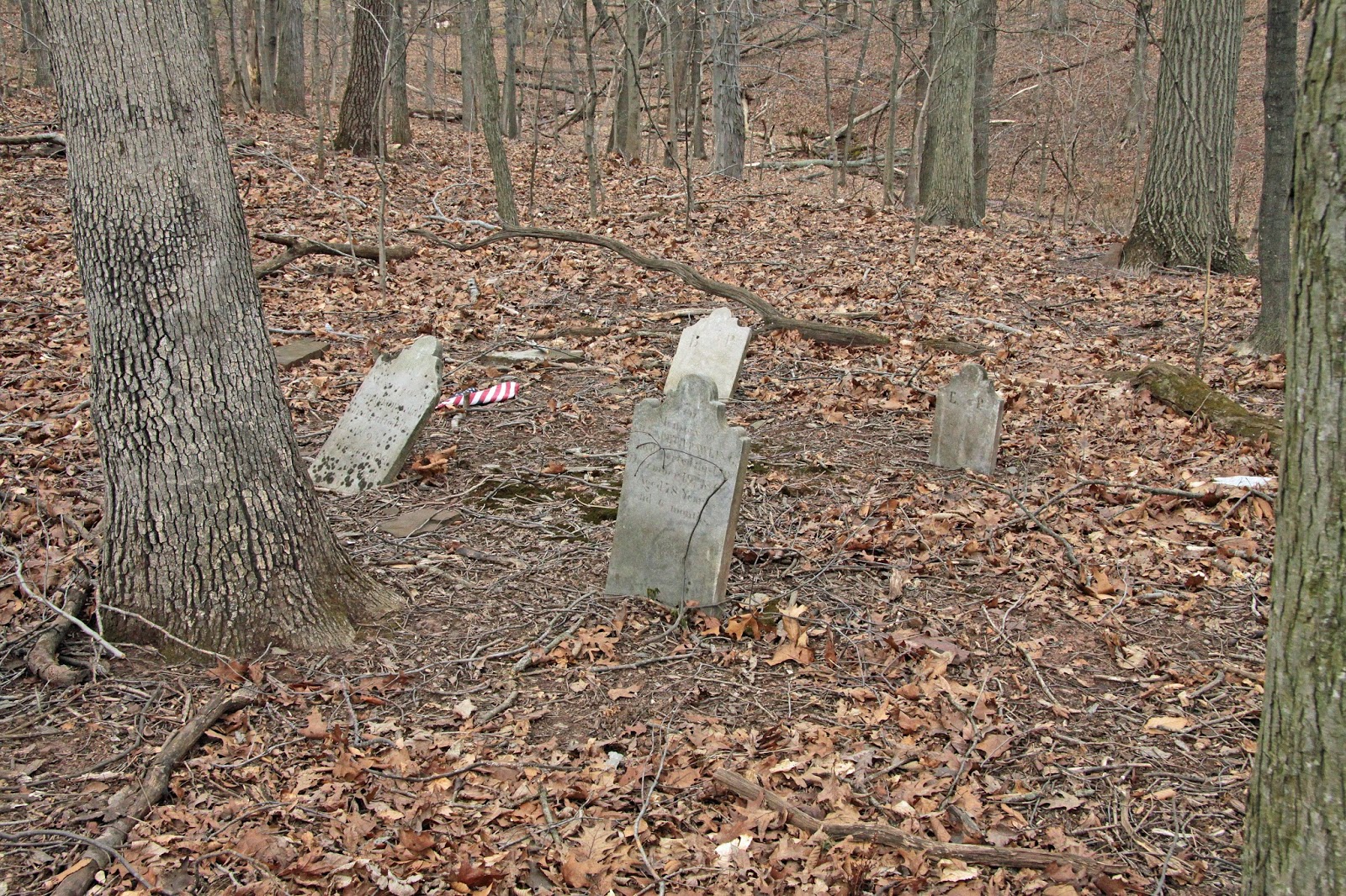 Goldsberry Pickin's: From the Duke of York to Valley Forge