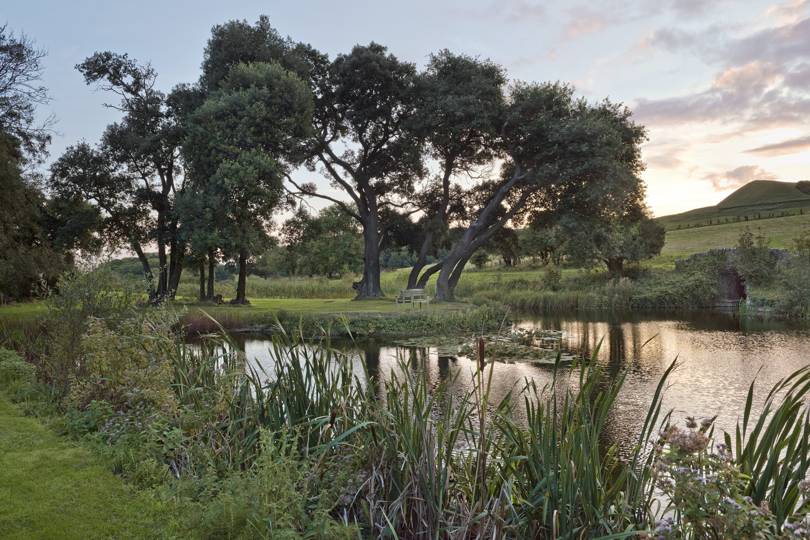 INSENSATUS Live on the Wilde side