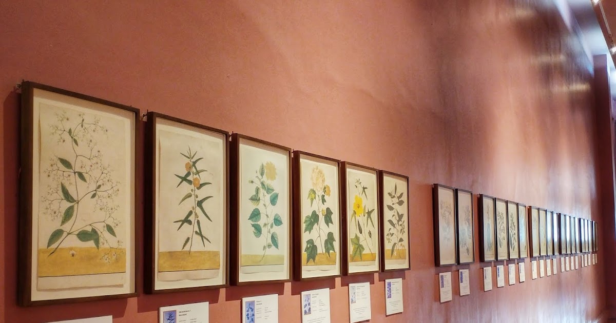 Juan De Cuellar: The 18th Century Botanical Expedition in the Philippines