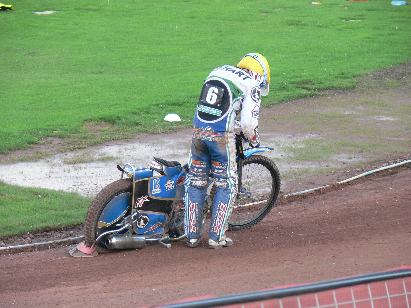 Tigers At The Tapes: July 2011