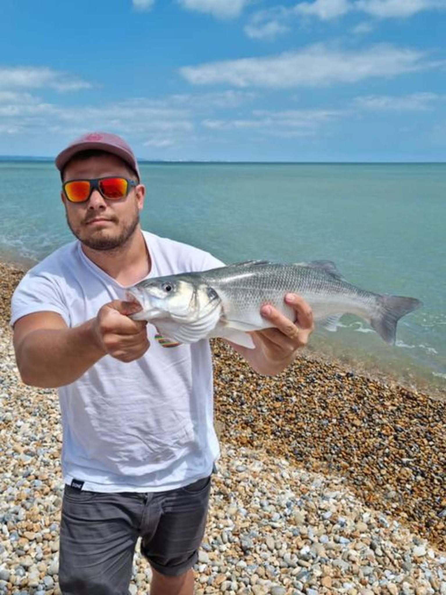 Seagull Fishing Tackle Sea Fishing at Dungeness