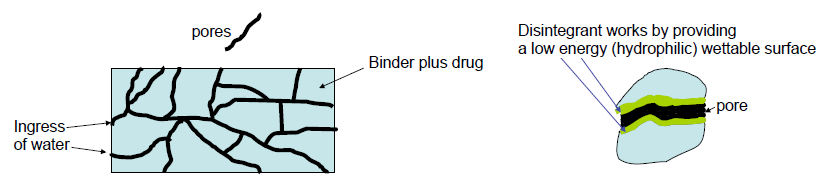 Chemistry of the Clinic - Drugs and Tissue Engineering