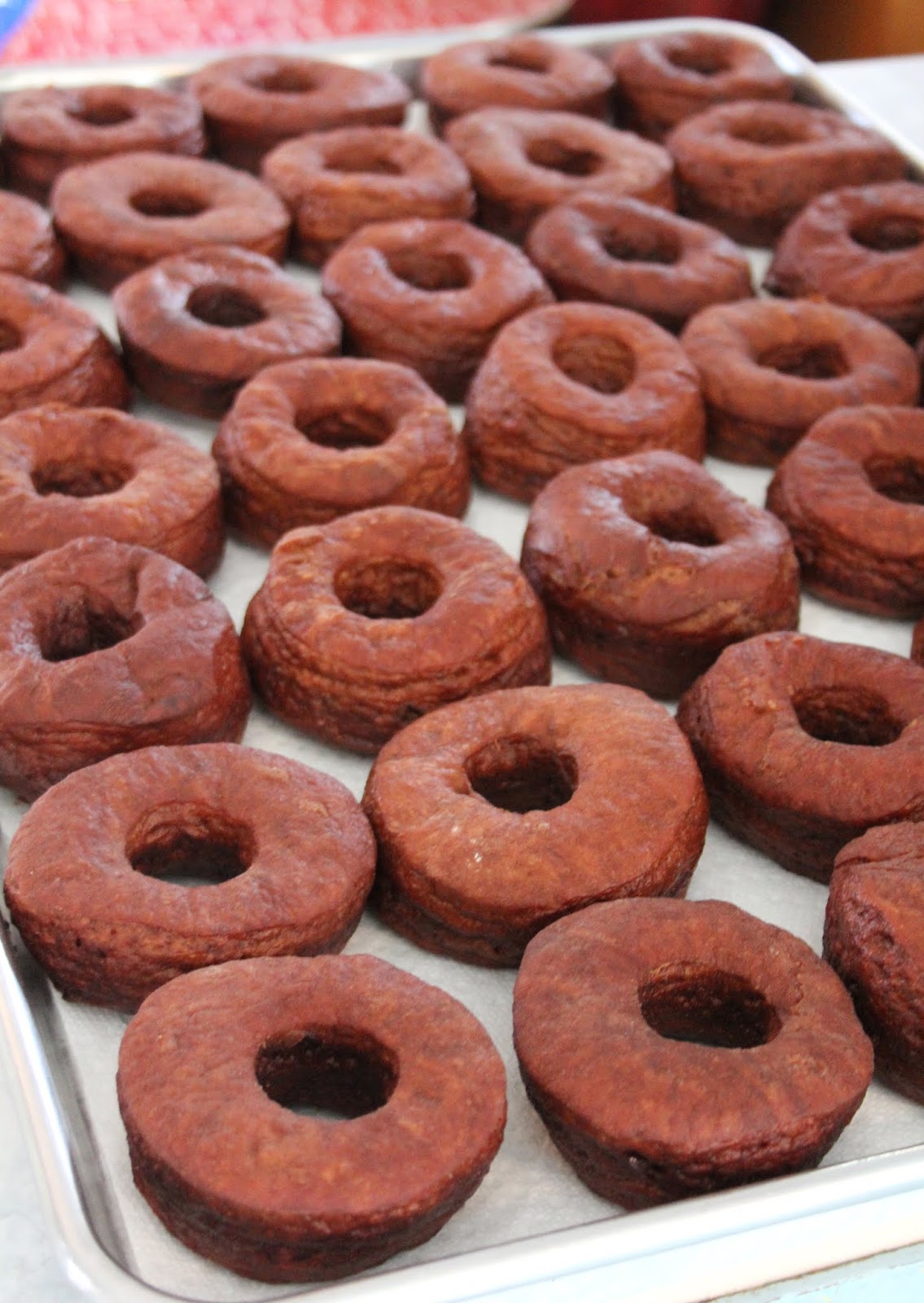 Jo and Sue: Turtle Donuts (Big Batch)