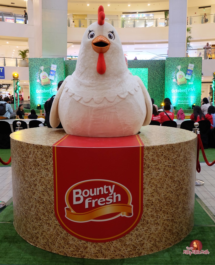 Bounty Fresh OctoberFresh World Chicken and Egg Day 2018 | Dear Kitty ...