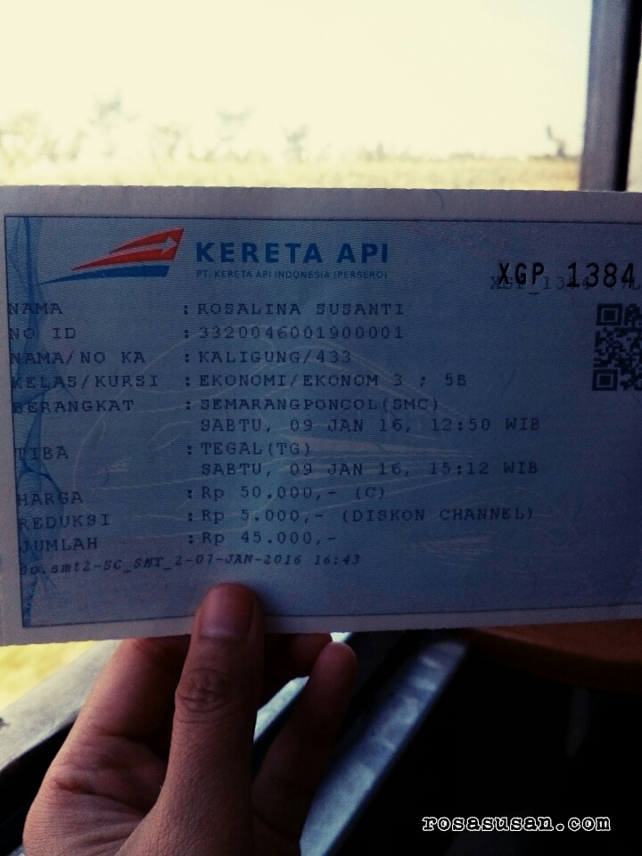 Pengalaman Pertama Naik Kereta Api | Rosa Bercerita