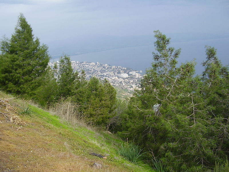 Land of Israel: List of Forests in Israel