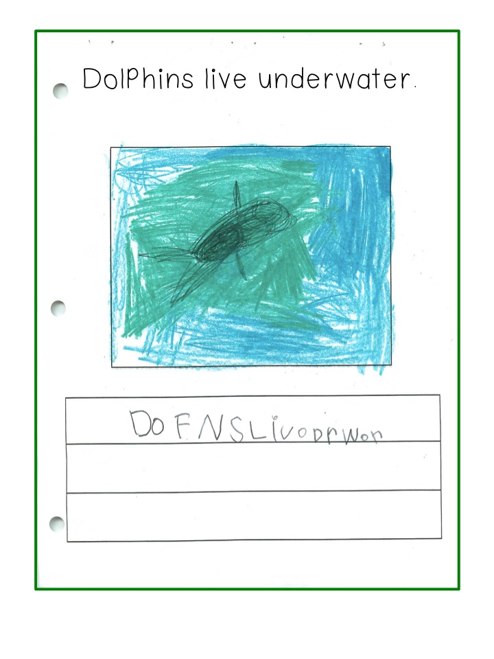 Joyful Learning In KC: Animal Research Writing