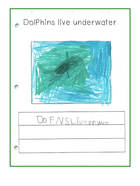 Joyful Learning In KC: Animal Research Writing