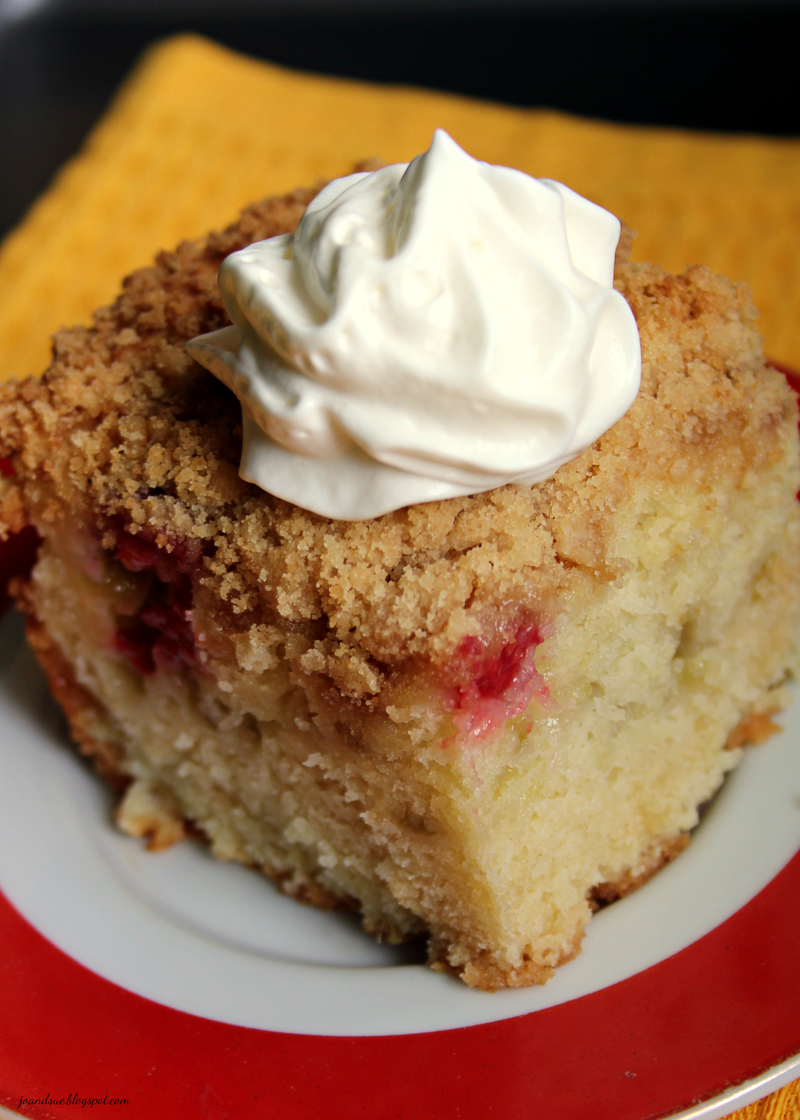Jo and Sue: Big Batch Rhubarb Raspberry Streusel Cake