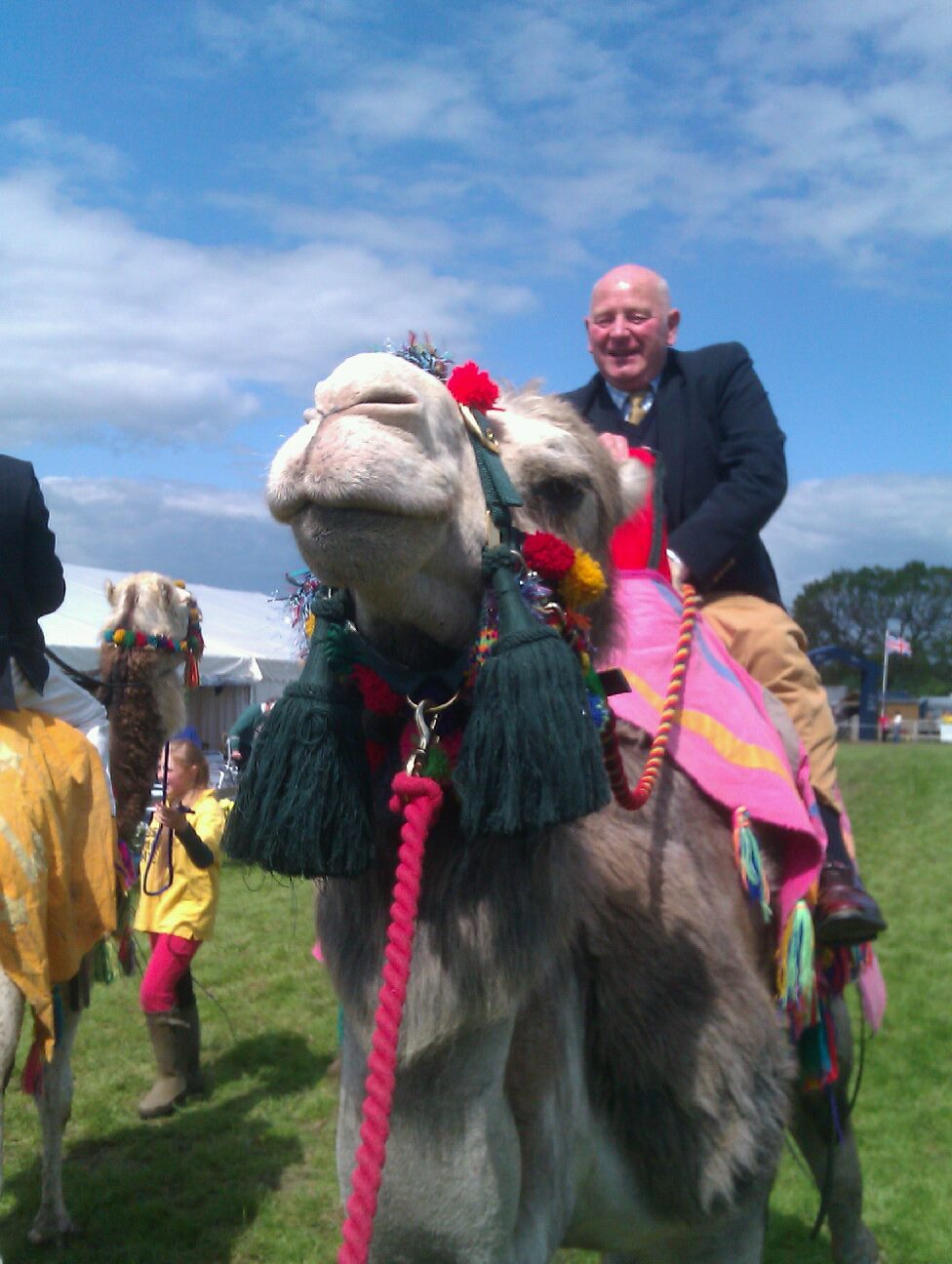 Kosice Vet Student Journey: Camels!