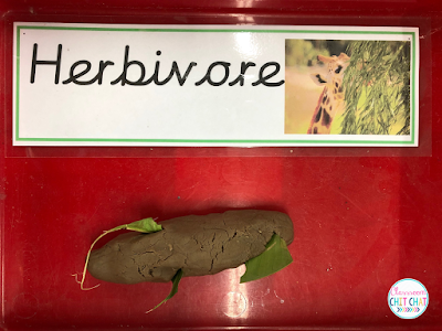 Classroom Chit Chat: How to make animal 'poo'