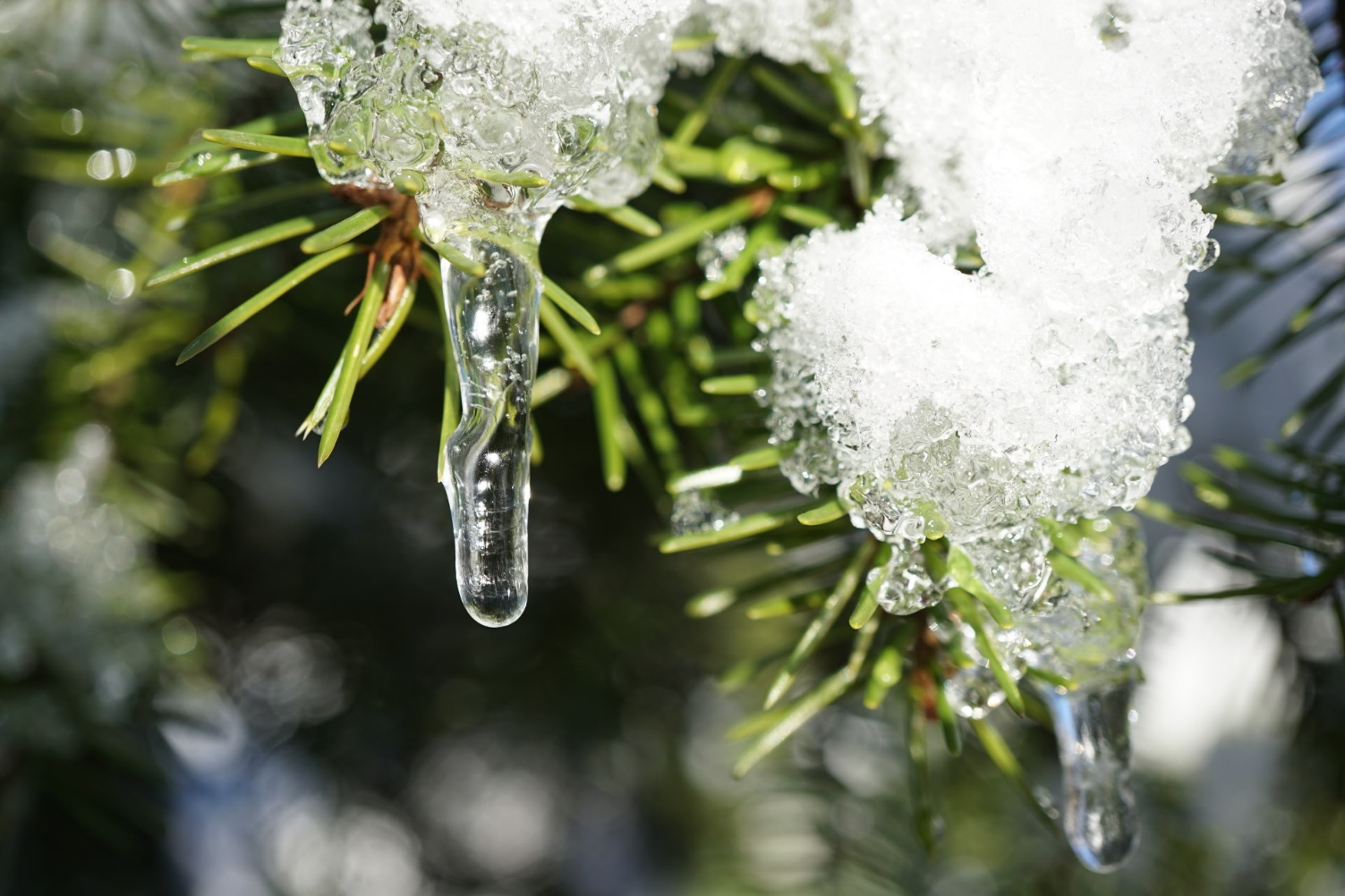 Jarin blogi - biologiaa ja maantiedettä: Vuosikatsaus: Säävuosi 2016