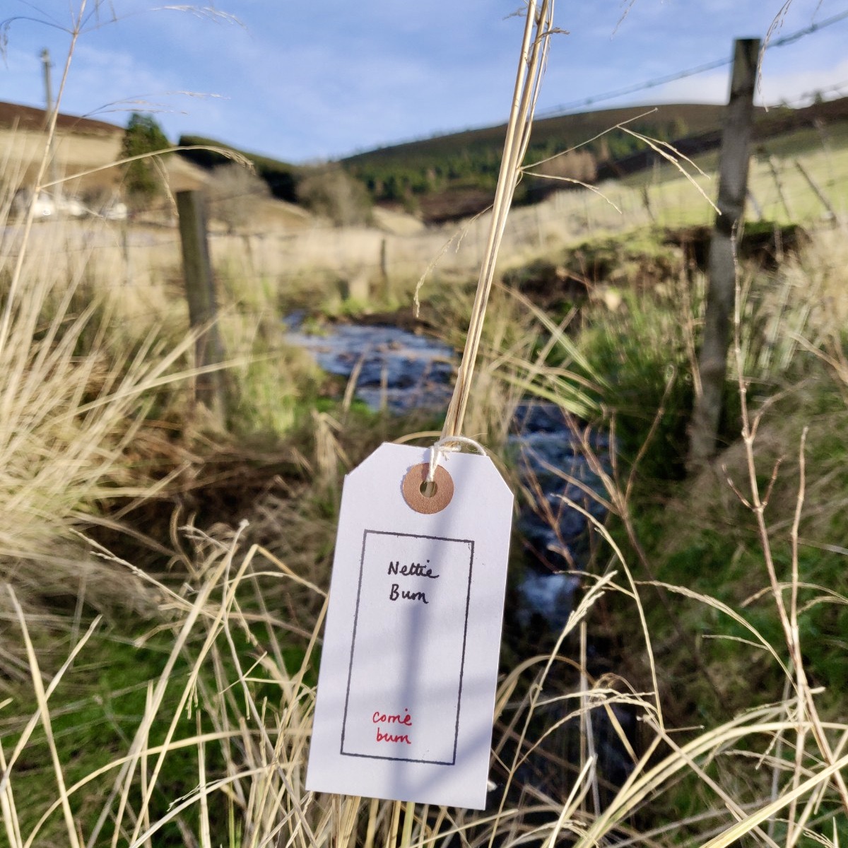 Day of Access: Walks and Paths in Strathdon