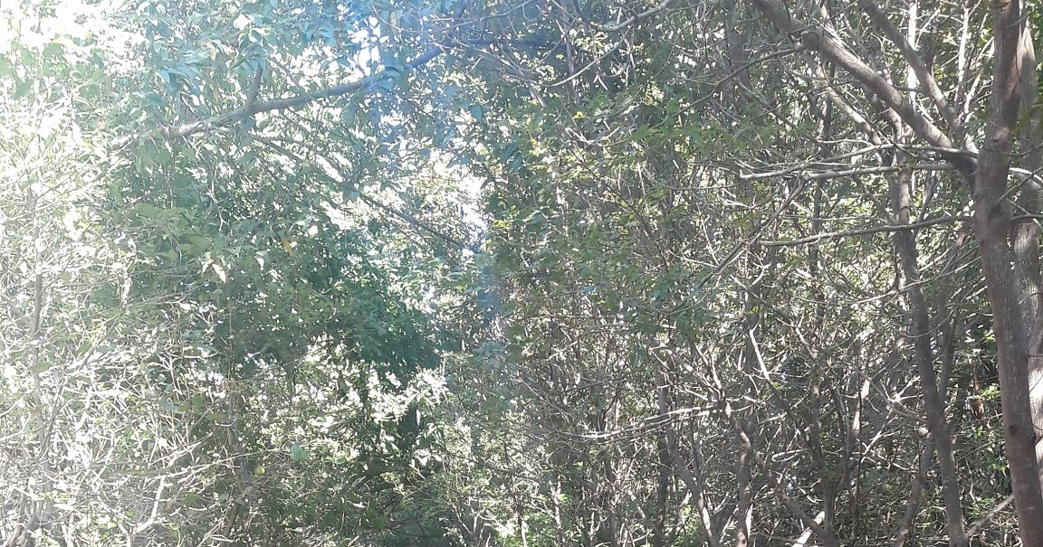 Parque Ecológico de Nigua