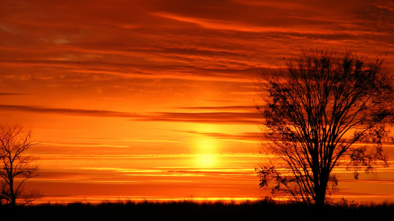 Timothy's Nature Photography www.facebook.com/ellistimphotography ...