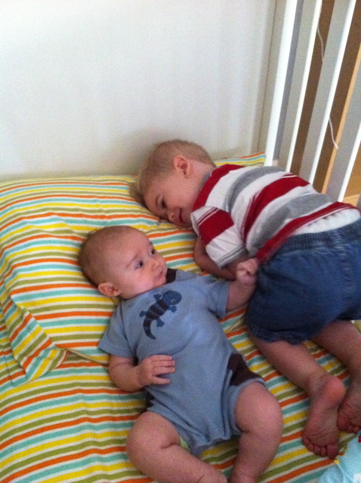 lauren's little blog book