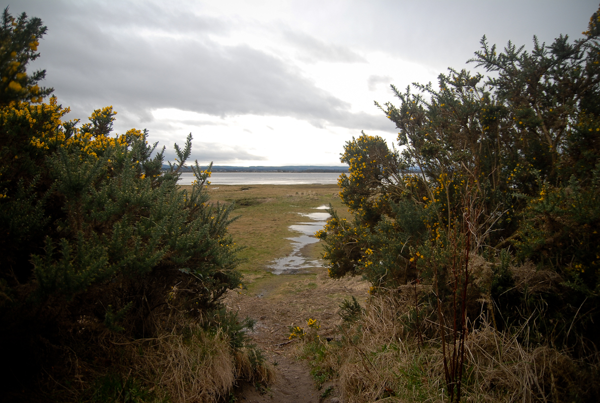 Findhorn Ecovillage Park, Inverness, Scotland