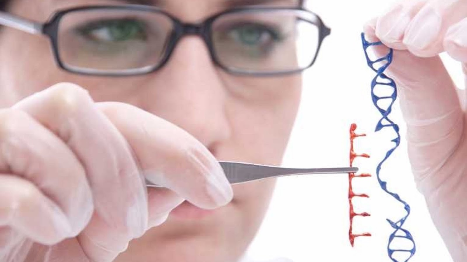 Genomics, Medicine, and Pseudoscience: CRISPR gene editing controversy ...