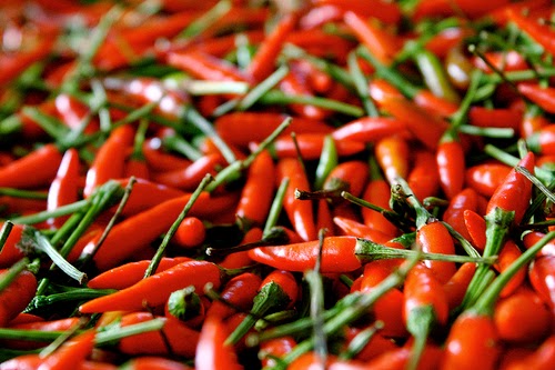 MANFAAT DAN KEGUNAAN CABAI