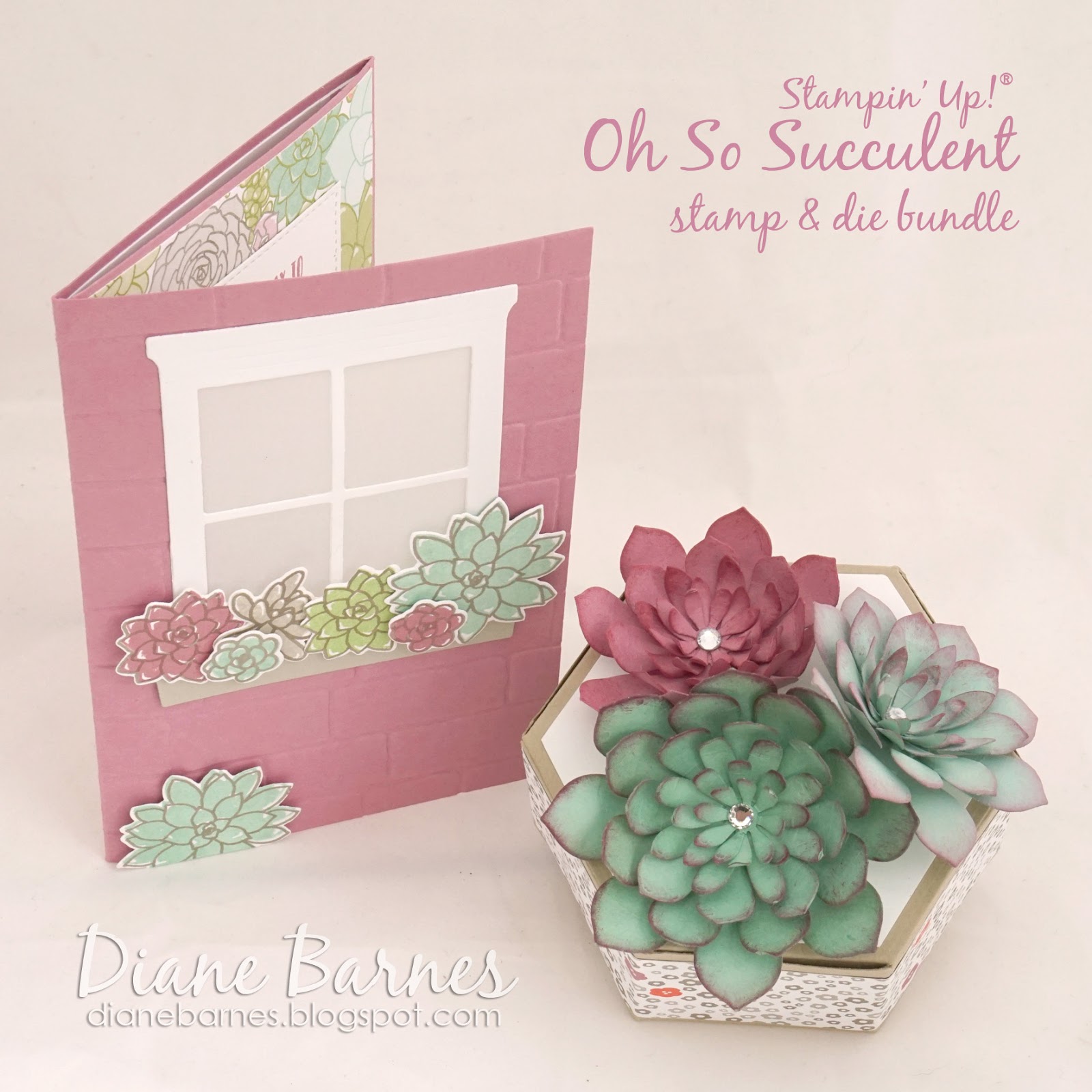 colour me happy: Oh So Succulent window box card & hexagon box