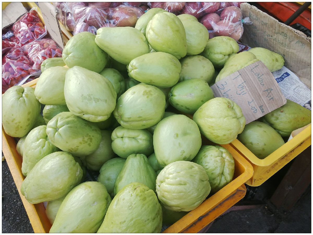 mrkumai.blogspot.com: Buah Labu Siam dan Pucuk Labu