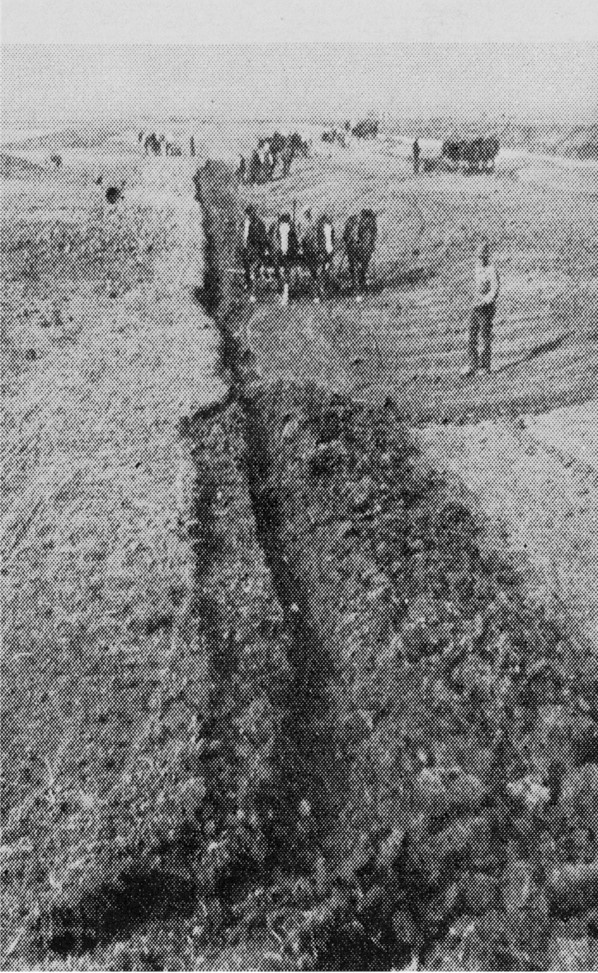 EcoFriendly Sask: Ducks Unlimited Canada: Protecting Migratory Birds ...