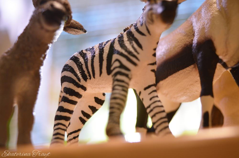 Forest Lair: Countershading [Daily Photo #325]