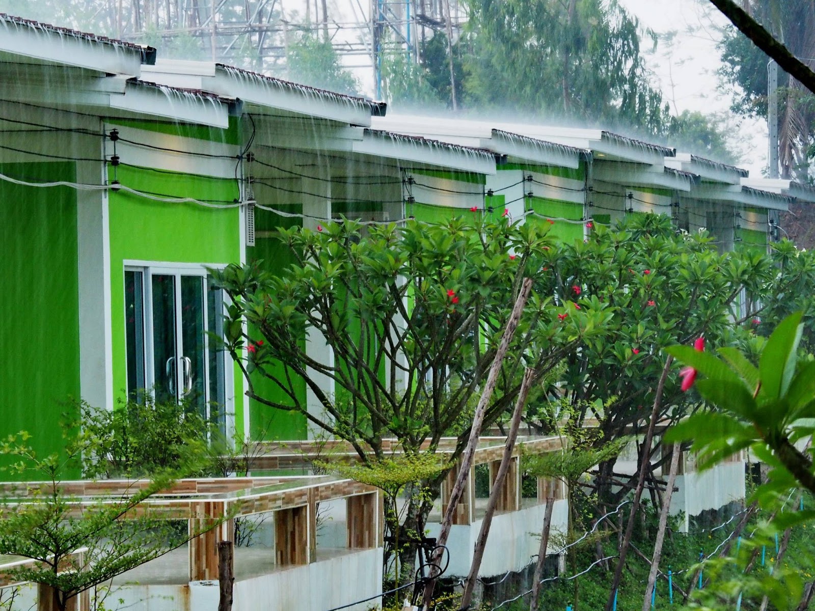 Green View Cafe and Resort