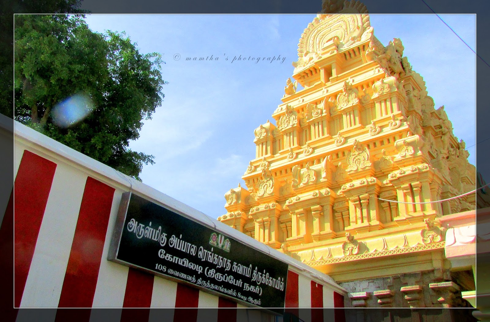 SAMARPAN: Sri Appala Ranganathaswamy Temple