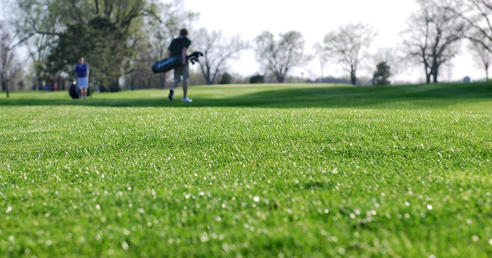 Distractions While Watching Golf - Jill Ruth & Co.