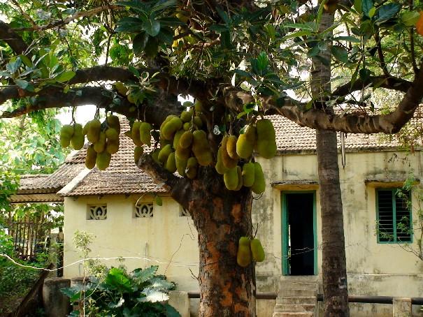 July 2013 - ARUNACHALA LAND