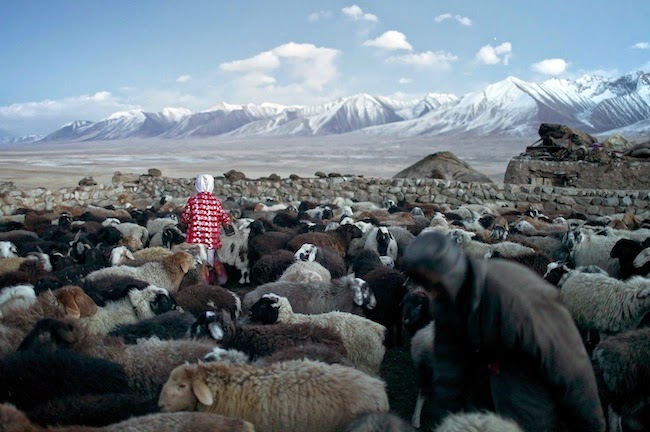OLTRE IL MURO: ARTE e FOTOGRAFIA: MATTHIEU PALEY | PHOTOGRAPHER