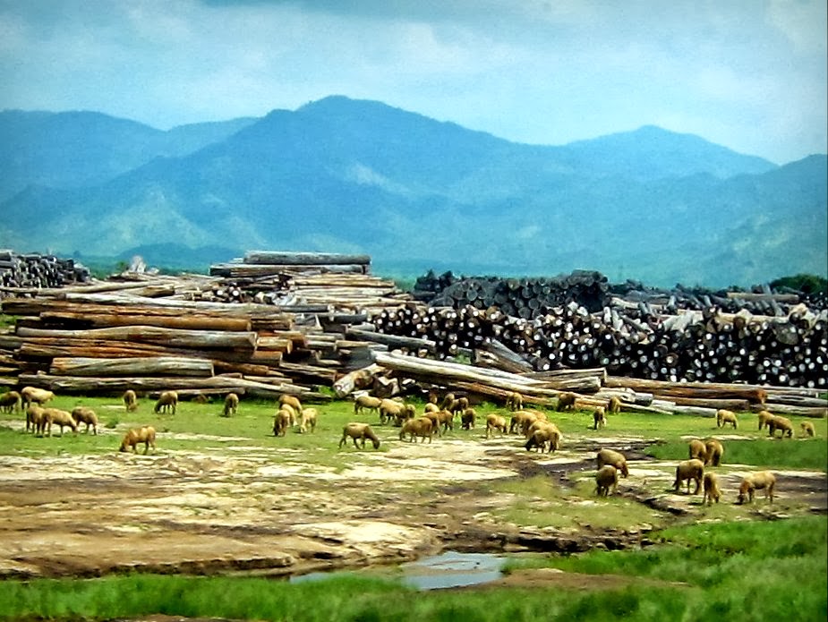 Awesomemoon: Up to Shan State