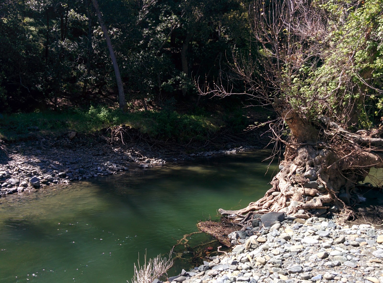 Lostentry - Welztalbahn, Model Railroading, and more: Sunol Regional ...